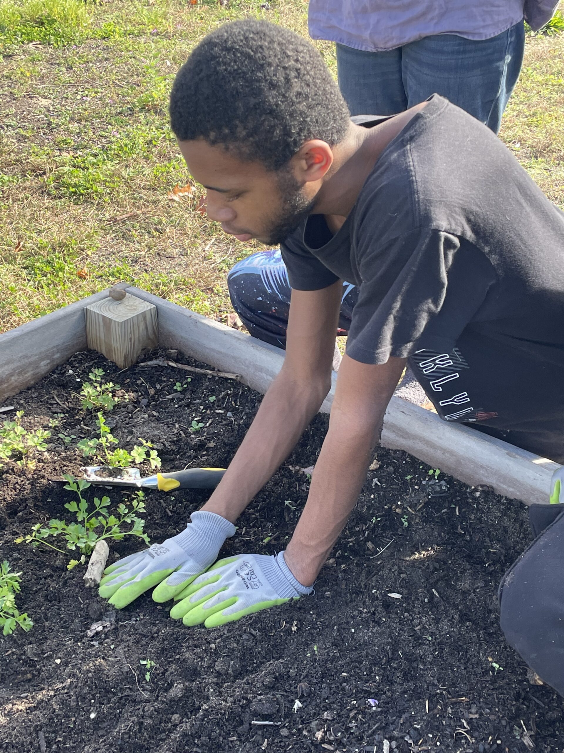 Reed’s Organic Farm Growing Valuable Work Skills with Y.A.L.E. School ...